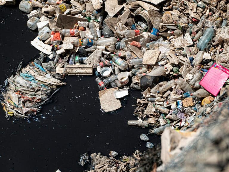 El continente de plástico: las 4 preguntas sobre las islas de basura en ...