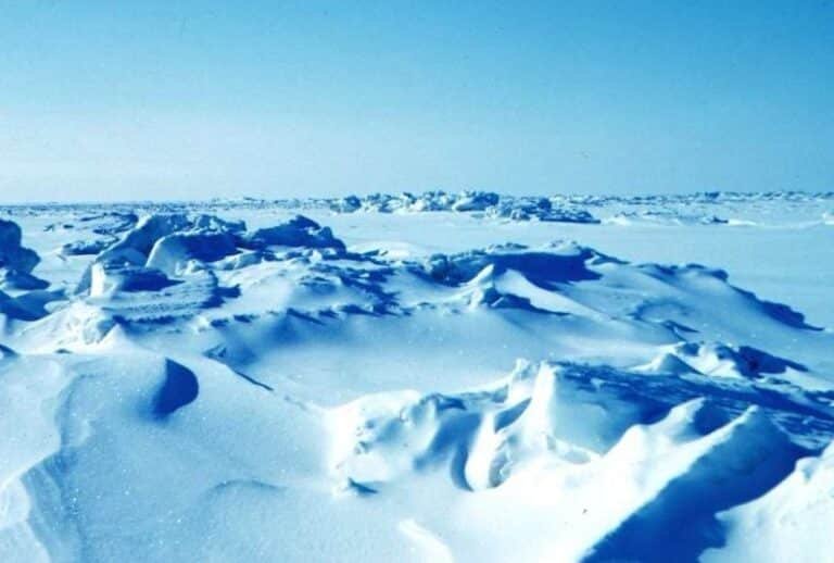 Descubrieron el hielo glacial más antiguo del mundo: ¿Cuántos años ...