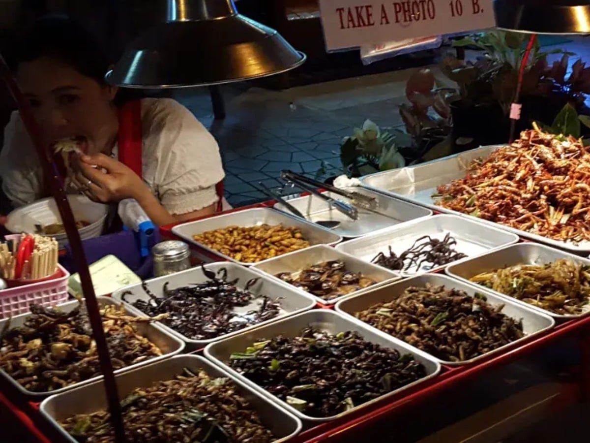 ¿Cuáles son los 16 insectos comestibles aprobados para consumo humano ...