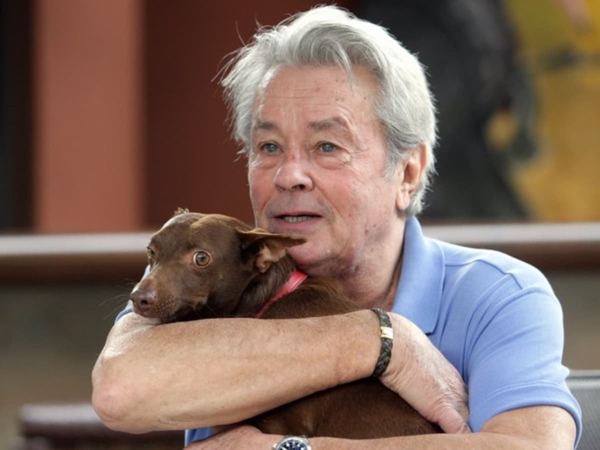 Alain Delon será enterrado junto a 45 perros: la fascinante historia ...