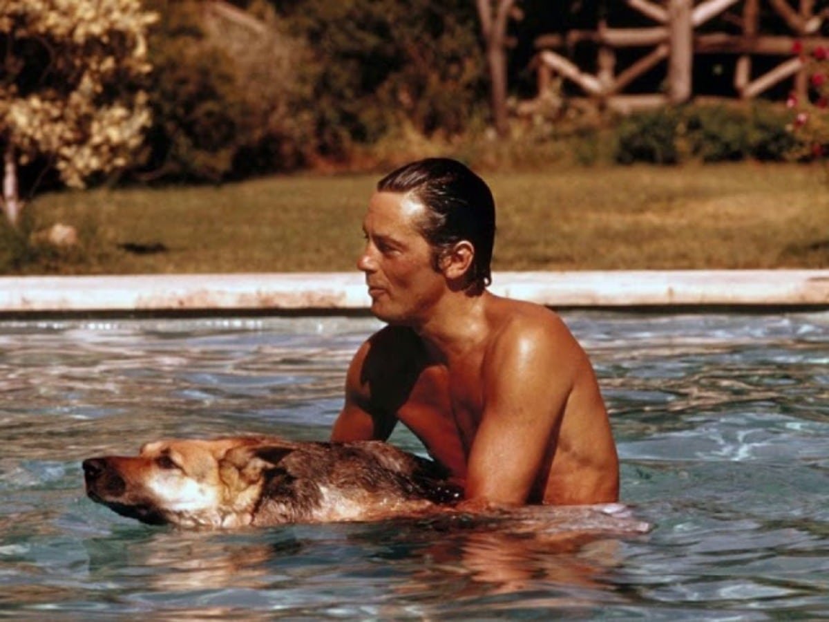 Alain Delon será enterrado junto a 45 perros: la fascinante historia ...