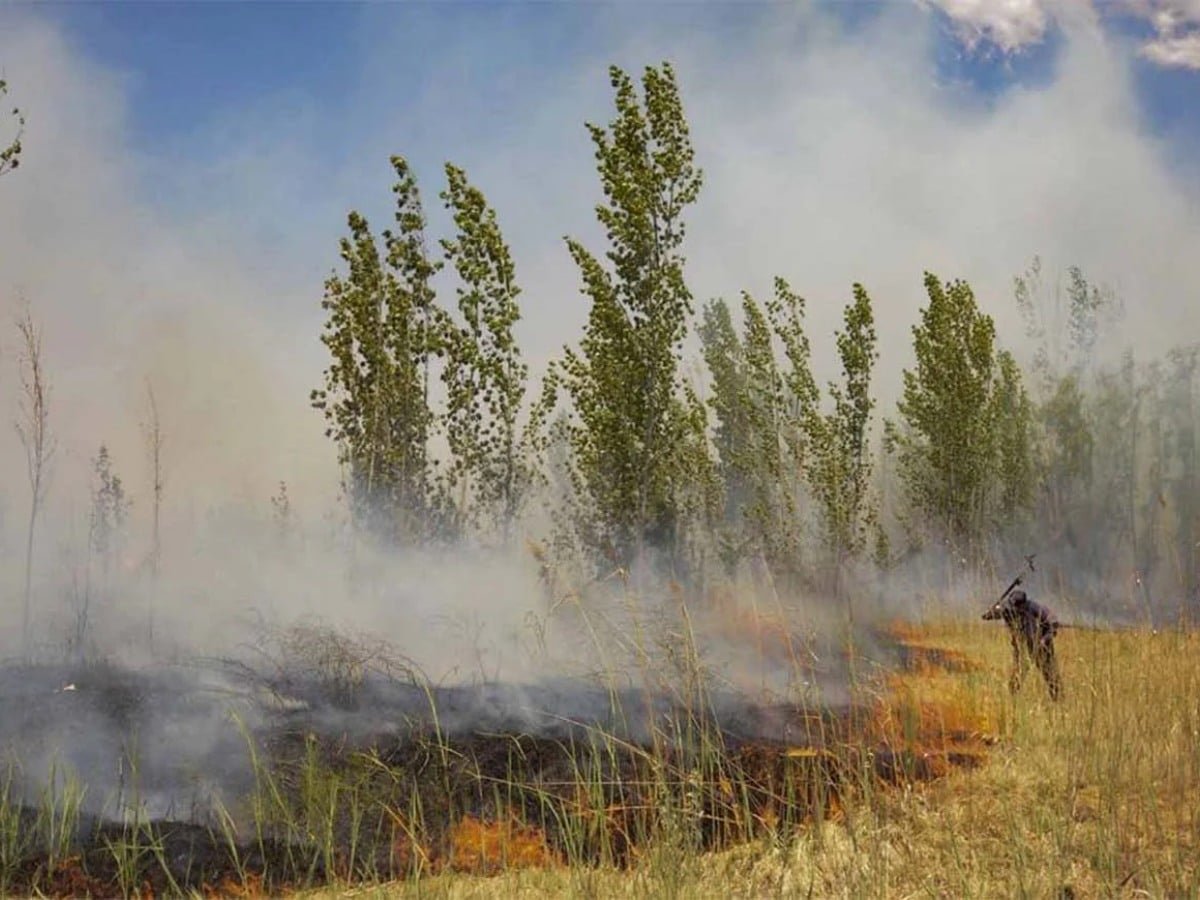 ¿Qué es el viento Zonda? 13 lugares del mundo donde soplan sus ráfagas ...