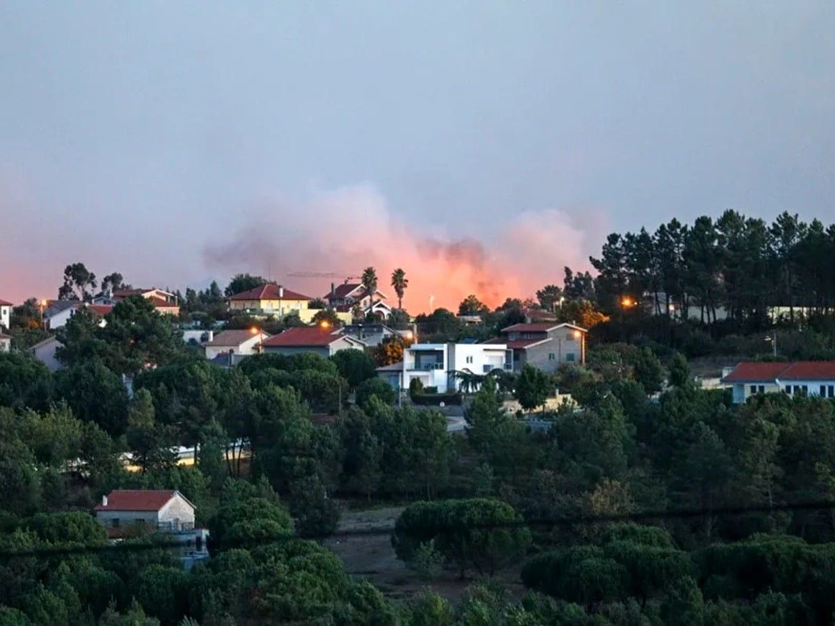 Incendios en Portugal: las llamas llegaron a finales del verano ...