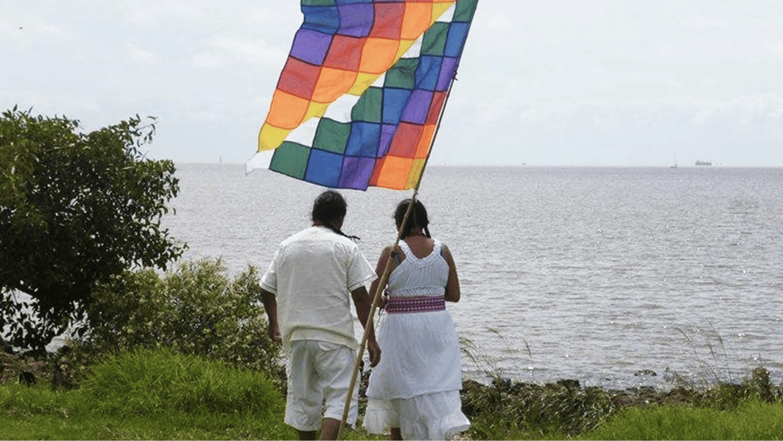 Cuál es el origen de la bandera wiphala y qué significan sus colores ...